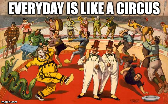 Three Ring Circus – An Ode to Military Humor – Springtime Folly – An ...